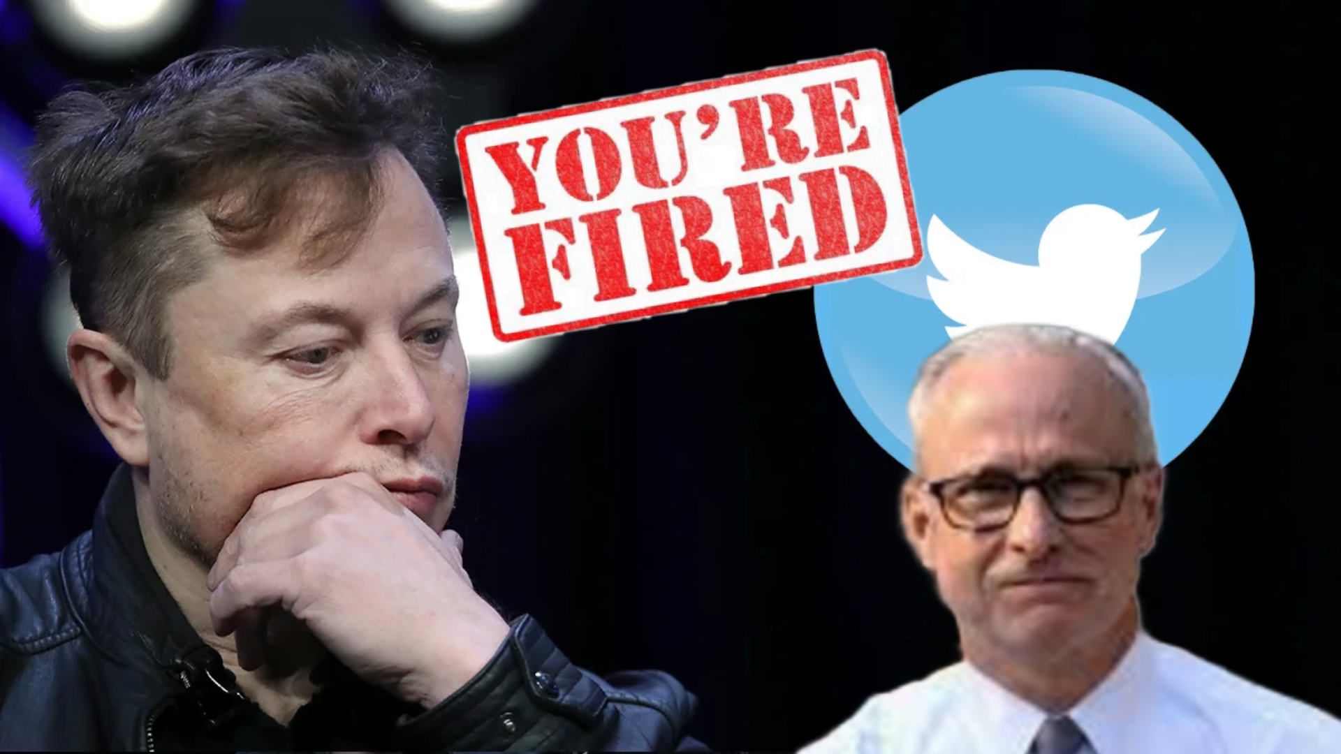 Elon Musk Fires Twitter Lawyer For Suppressing The ‘Twitter Files’ That ...