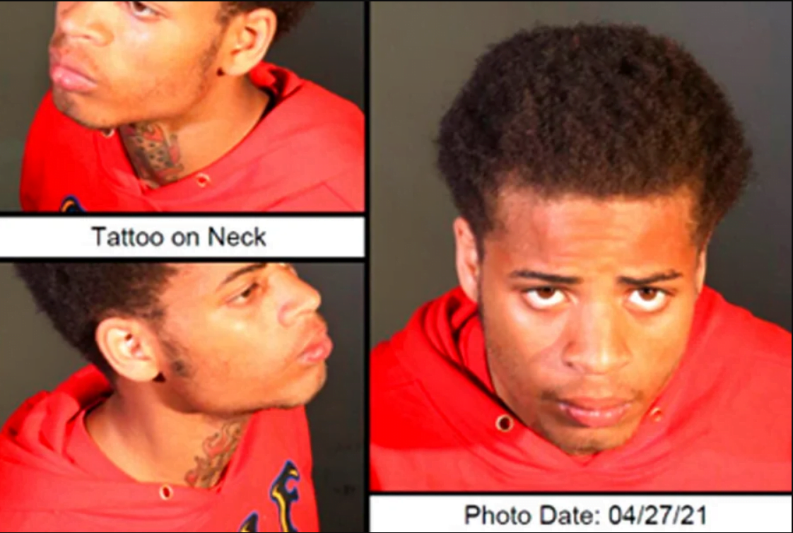 Man Who Shot Lady Gaga’s Dog Walker, Stole Frenchies Sentenced To 21 ...