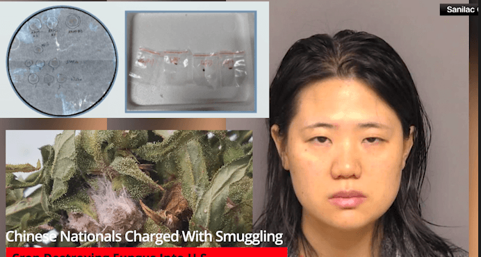 Chinese Nationals Charged With Smuggling Crop Destroying Fungus Into U ...